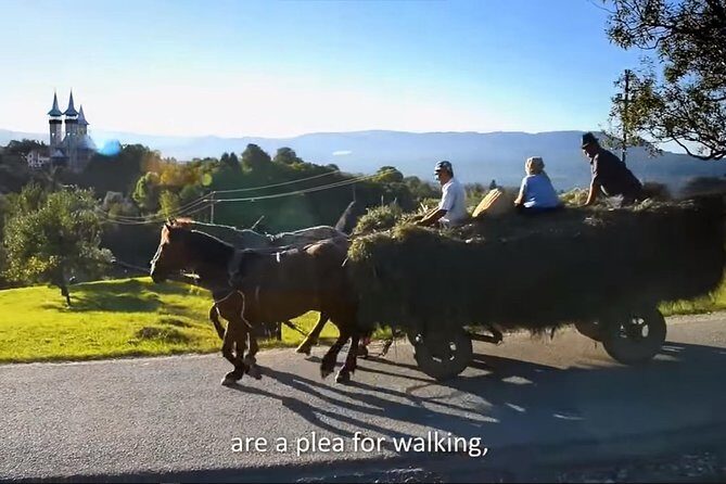 2 Days Private Tour Transfagarasan Road & Sibiu from Bucharest - Price and Value