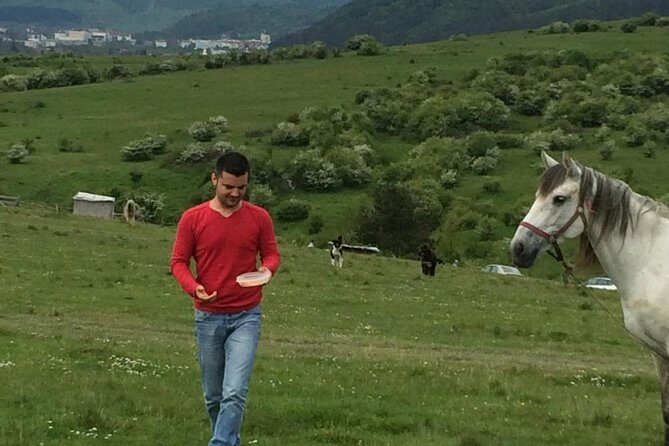 2 Days Private Tour Transfagarasan Road & Sibiu from Bucharest - Final Thoughts: Is This Tour Right for You?
