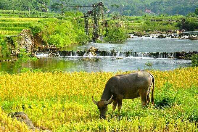 2 Days Pu Luong Offbeat Trekking Best for Mountain Lovers - What Makes the Experience Stand Out?