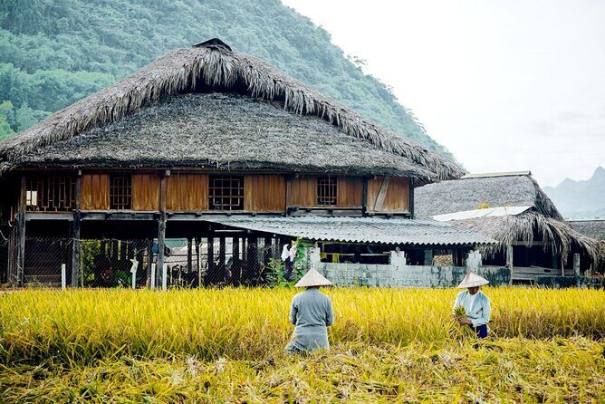 2-Days Sapa Trekking From Hanoi Overnight in Tavan Village - The Value Proposition