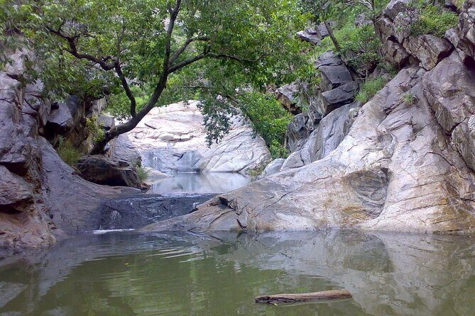 2 Days Sariska Wildlife and Heritage Escape from Delhi - Who Will Love This Tour?