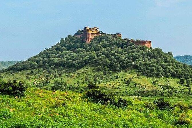 2 Days Sariska Wildlife and Heritage Escape from Delhi - FAQs