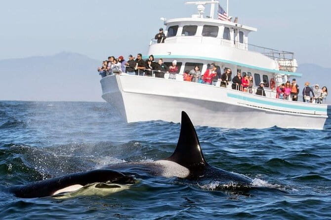 2 Days Sea Aventure to Galle and Mirissa from Colombo - Key Points