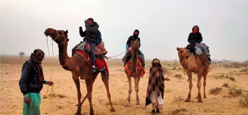2 Days Sharing Group Non Touristic Camel & Desert Safari - Key Points
