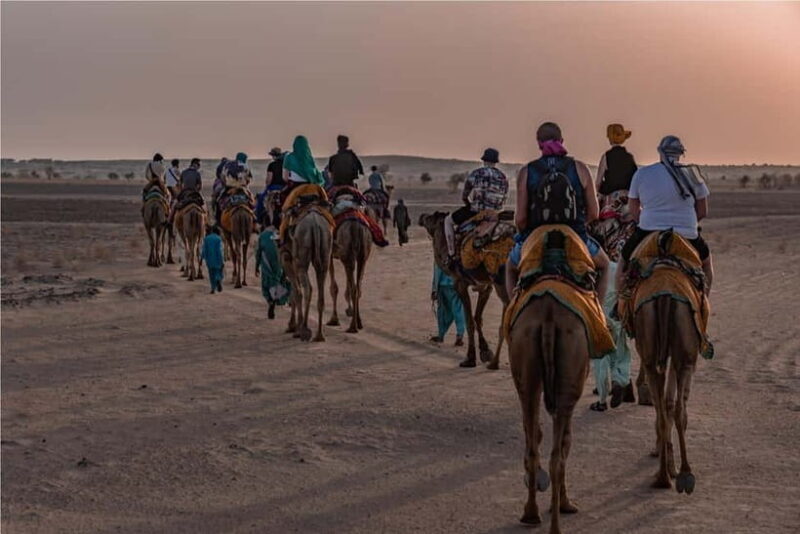 2 Days Sharing Group Non Touristic Camel & Desert Safari - Authenticity and Practicalities