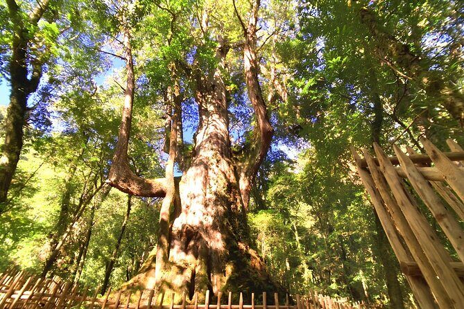 2 Days Smangus Adventure in Taiwan - Journey Into the "Tribe of God" – A Closer Look