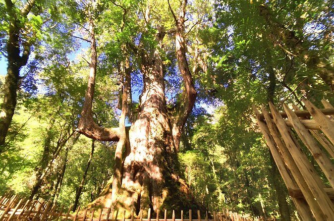 2 Days Smangus Adventure in Taiwan - FAQs