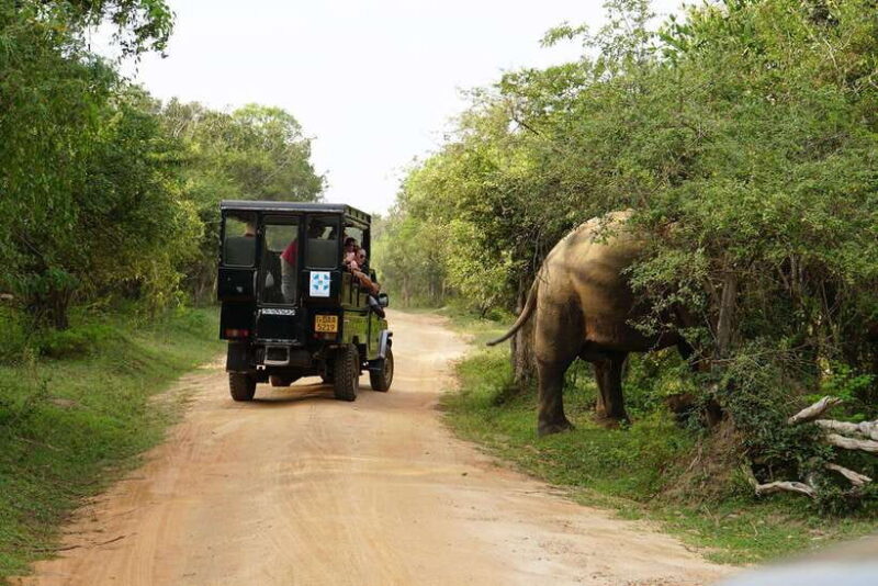 2 days Sri Lanka: All-inclusive tour to Ella and Yala with 4-star hotel - Day 2: Cultural Discovery and Mountain Views