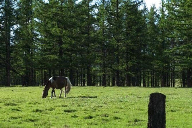 2 Days Terelj National Park with Horse riding - What’s Included and What’s Not