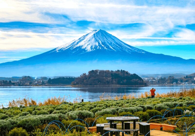 2 Days Tokyo, Mount Fuji Trip Private Guided Tour - Navigating the Two Days: An In-Depth Look