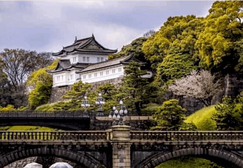 2 Days Tokyo, Mount Fuji Trip Private Guided Tour - Final Thoughts on the Experience