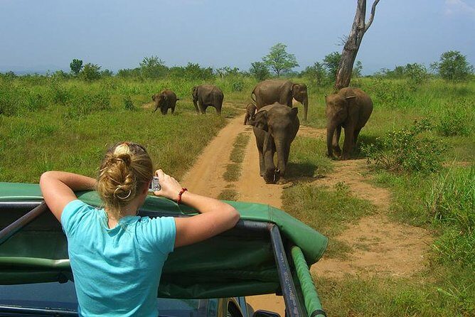 2 Days Tour to Galle & Udawalawe National Park - Who Will Love This Tour?