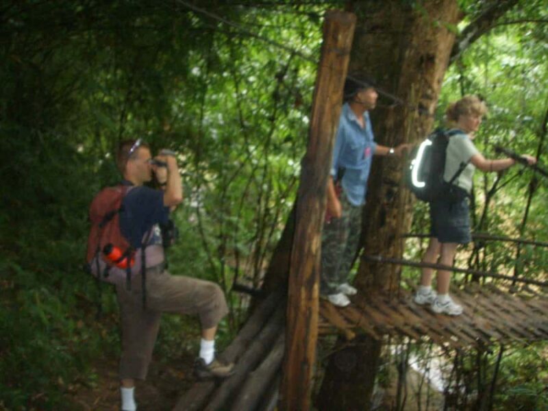 2 Days Trek Sanpatong - Final Words