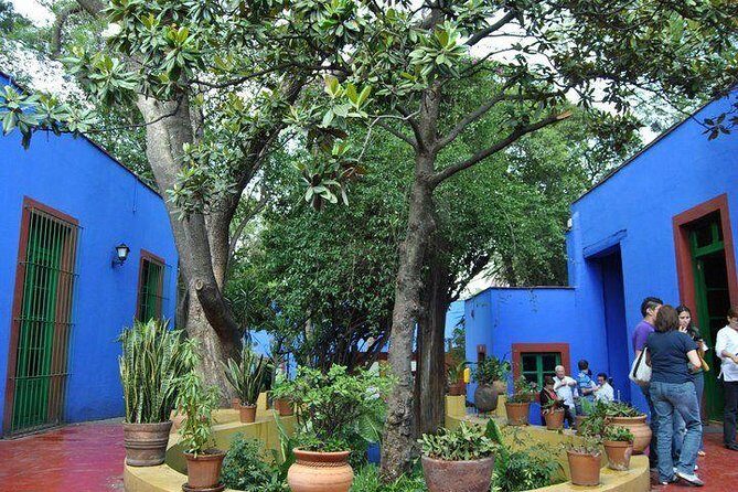 2 Days visiting Basilica of Guadalupe, Pyramids, Frida Kahlo museum & Xochimilco - Transport & Logistics: Why They Matter
