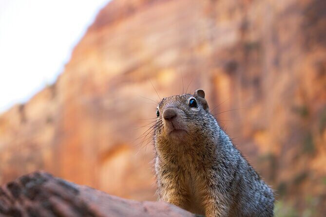 2 Days Zion and Bruce Canyon Tour with Hiking - Exploring the 2 Days Zion and Bryce Canyon Tour with Hiking