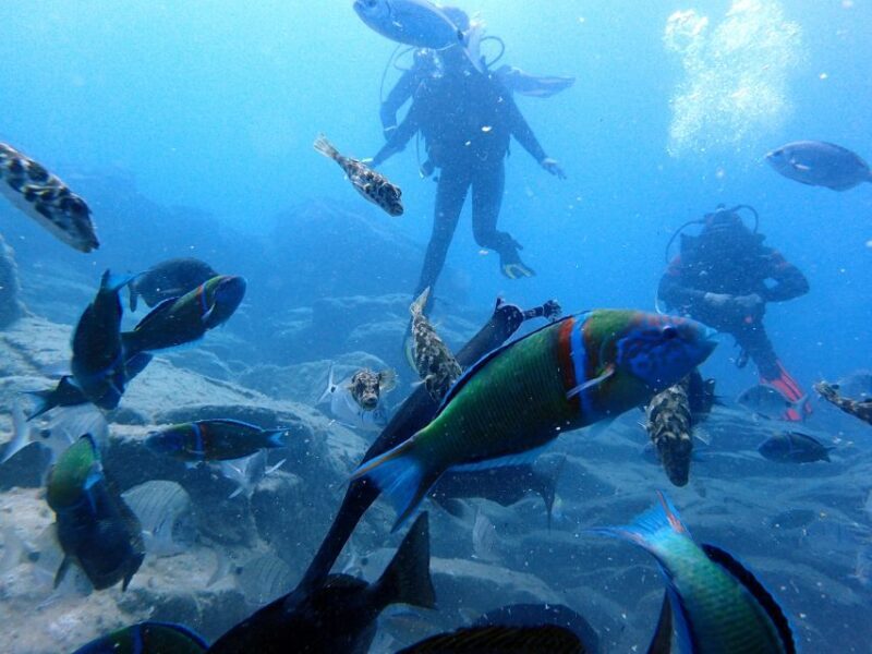 2-Dive Guided Scuba Diving For Qualified Divers - How to Prepare for Your Dive Day