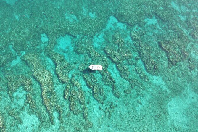 2 Dive Scuba Diving Reef Excursion to Key Largo Marine Sanctuary - An Honest Look at the Experience