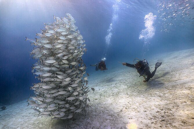 (2 Dives) Discover Scuba Diving Kota Kinabalu - Final Thoughts