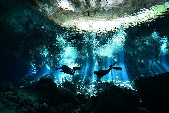 2 dives in Cenote Dos ojos Certified Divers - Exploring the 2 Dives in Cenote Dos Ojos with Certified Divers