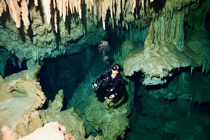 2 dives in Cenote Dos ojos Certified Divers - An Overview of the Cenote Diving Experience