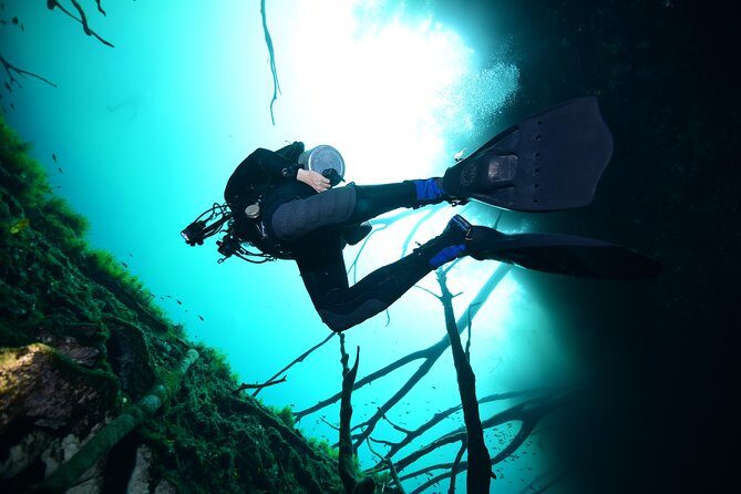 2 dives in Cenote Dos ojos Certified Divers - Essential Details and Practical Tips