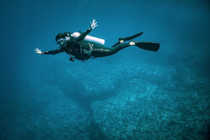 2 Dives in the morning for certified divers in Bora Bora - FAQ