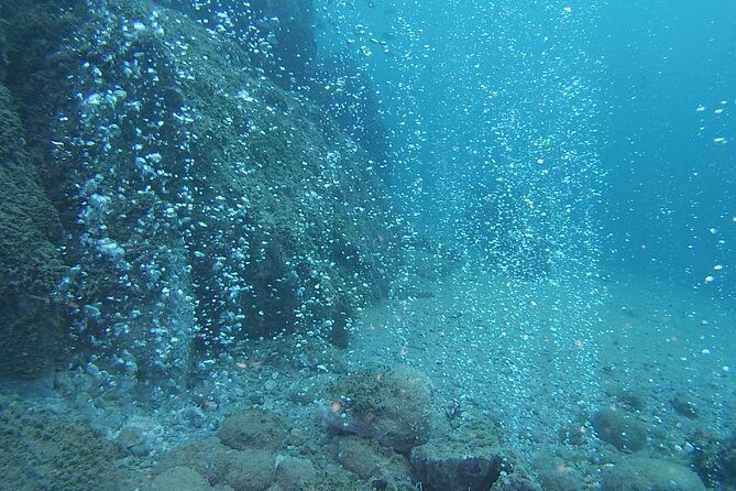 2 Dives Package - FAQs