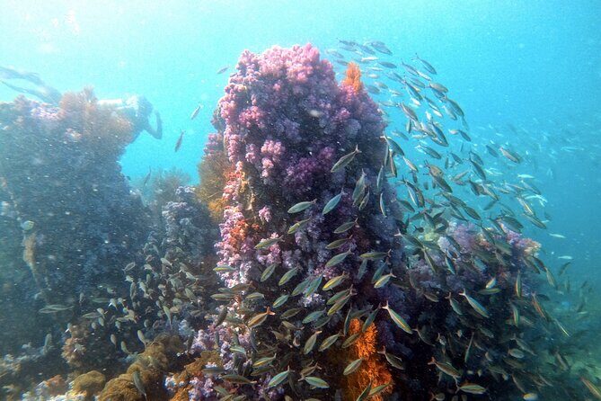 2 Fun Divers for Certified Divers in Thailand - Introduction: Why This Tour Might Be Just Right for You