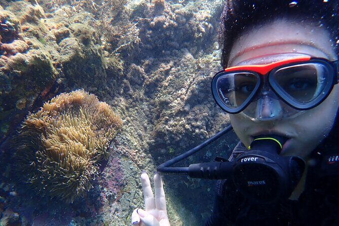 2 Fun Dives for certified Divers - Authentic Experiences & Authentic Food