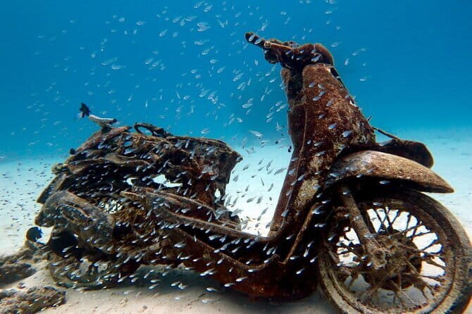 2 Fun Dives in Racha Yai or Noi for Certified Divers - A Closer Look at the Experience