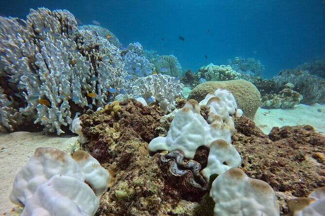 2 Fun Dives in Racha Yai or Noi for Certified Divers - FAQ