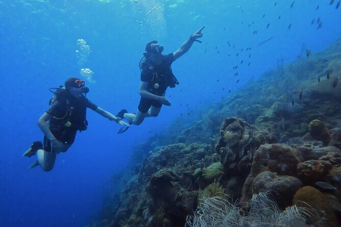 2 guided shore dives in Curacao - A Closer Look at the Experience