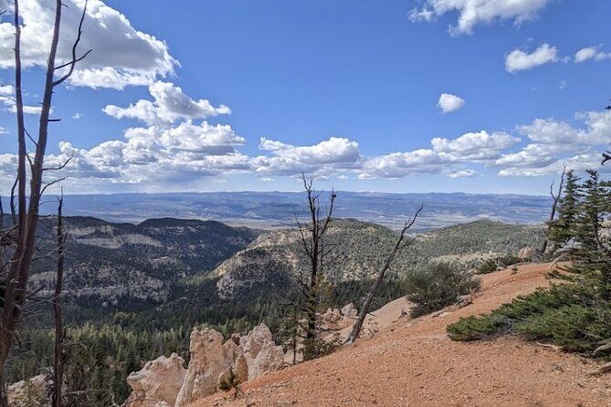2-Hour, 4-seat ATV Rental next to Bryce National Park - Practical Tips for Travelers