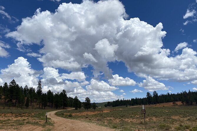 2-Hour, 4-seat ATV Rental next to Bryce National Park - The Sum Up