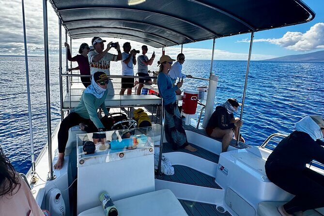 2 Hour Afternoon Lahaina Whale Watch - Introduction to the Tour