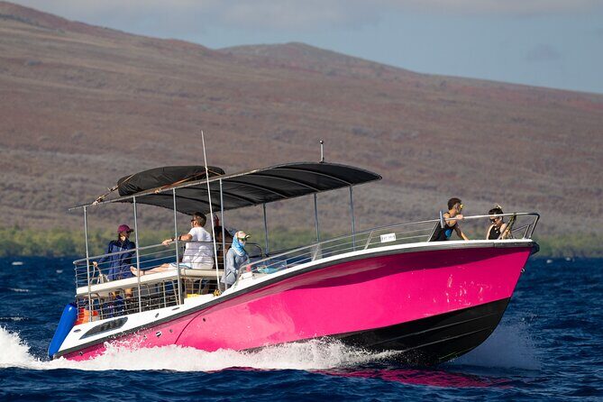 2 Hour Afternoon Lahaina Whale Watch - Real Review Takeaways