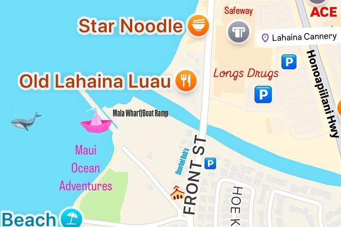 2 Hour Afternoon Lahaina Whale Watch - Practical Tips for Travelers
