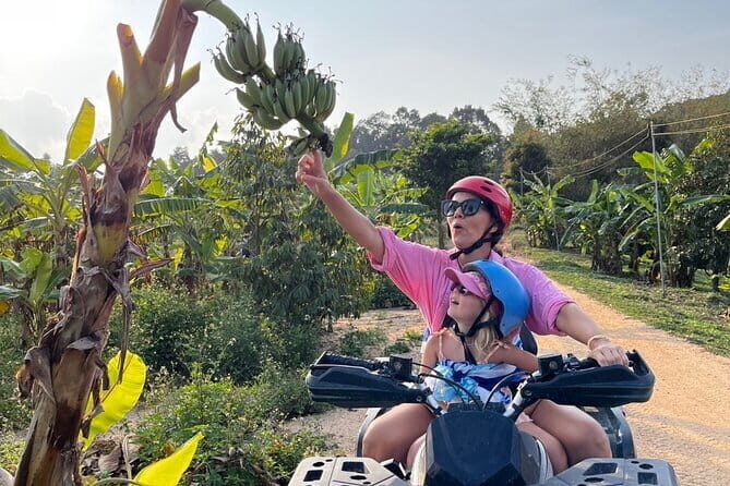 2 Hour ATV Jungle Tour In Koh Samui - A Practical Look at Koh Samui’s 2-Hour ATV Jungle Tour