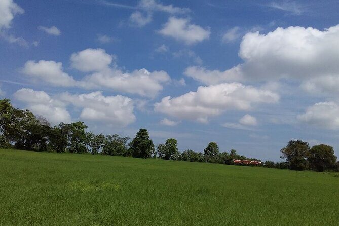 2-Hour ATV Riding Ultimate Off Road Hillside in Pattaya - What to Expect During the Day