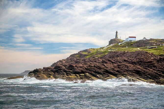 2 Hour Award-Winning Whale and Seabird Boat Tour from St. John's - Who Will Appreciate This Tour?