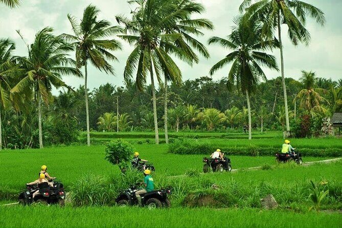 2 hour Bali ATV Ride Ubud waterfall jungle and rice fild track - The Itinerary in Detail