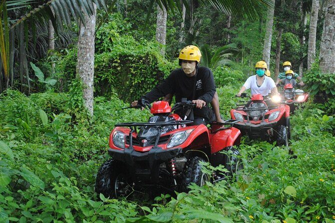 2 hour Bali ATV Ride Ubud waterfall jungle and rice fild track - What Reviews Tell Us