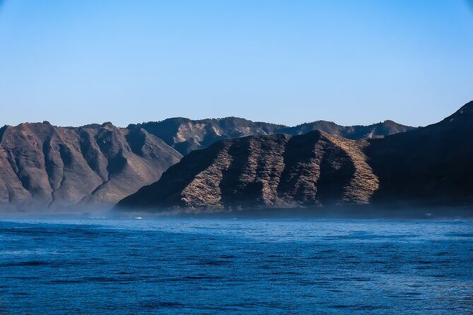 2 Hour Big Island Dolphin Watching and Sea Turtle Snorkel Tour - Final Thoughts