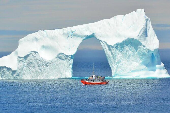 2 Hour Boat Tour in Twillingate - Key Points