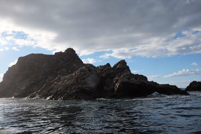 2 Hour Boat Tour in Twillingate - The Verdict: Who Will Love This Tour?