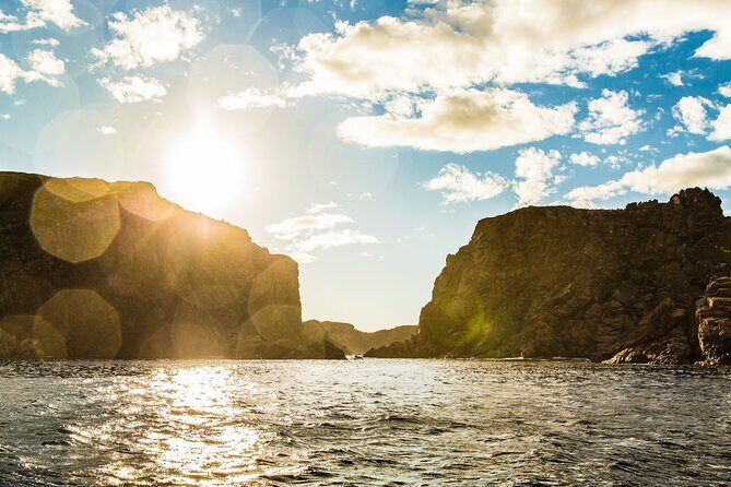 2 Hour Boat Tour in Twillingate - Final Thoughts