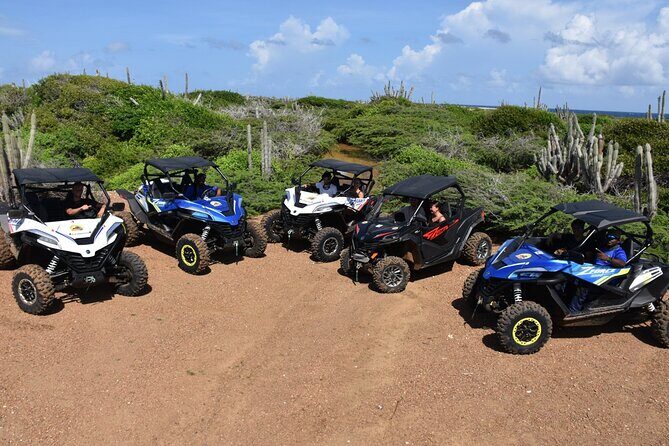 2-Hour Buggy Adventure Tour in Curacao - Key Points