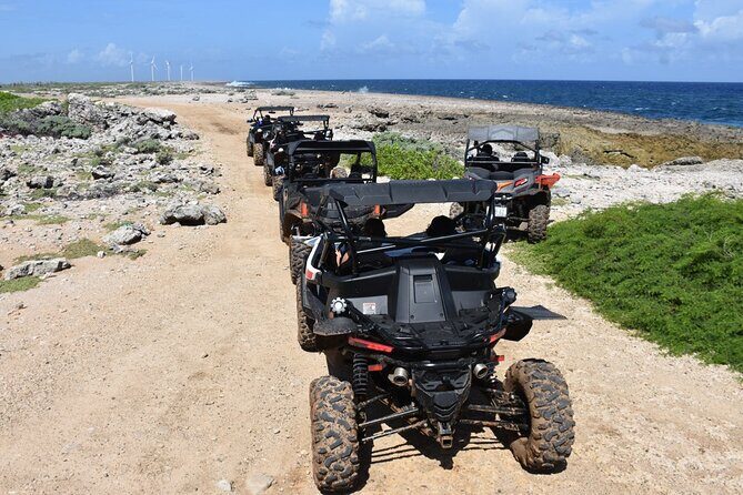 2-Hour Buggy Adventure Tour in Curacao - Who Will Love This Tour?
