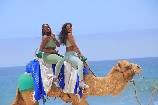 2-Hour Camel Ride Beach and Desert Adventure Experience - Cost and Value