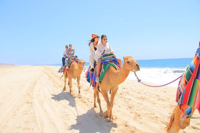 2-Hour Camel Ride Beach and Desert Adventure Experience - FAQ